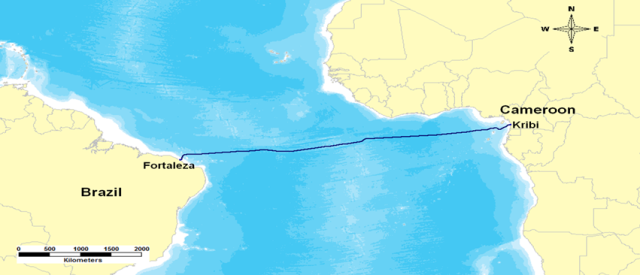 Huawei Marine to deploy Cameroon-Brazil Cable System | Lightwave