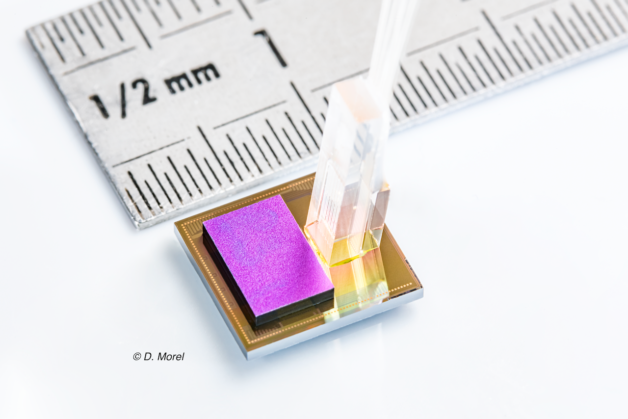 SiPh PIC company Scintil Photonics adds Soitec board observer | Lightwave