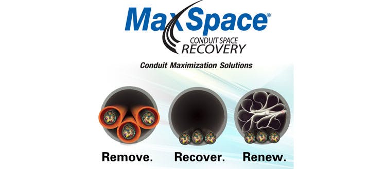 MaxCell MaxSpace | Lightwave