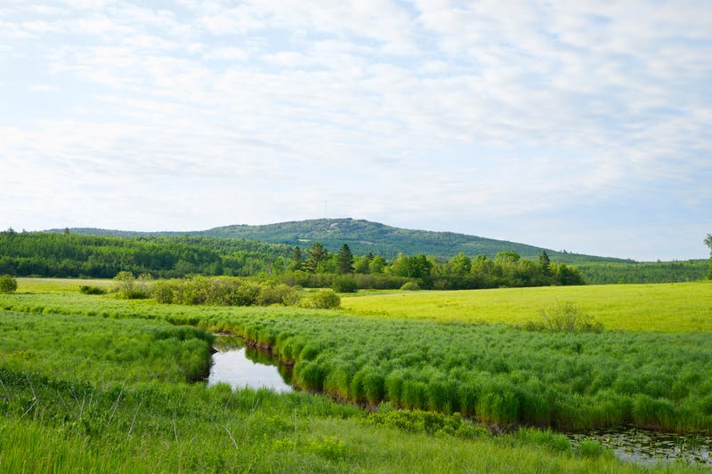 TDS Telecom awarded more grant funding for Maine rural fiber broadband ...